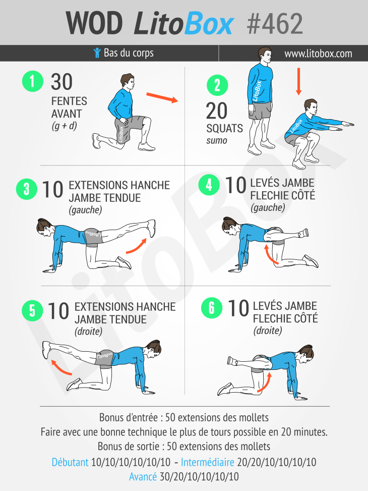 Programme fessiers et cuisses sans matériel #462