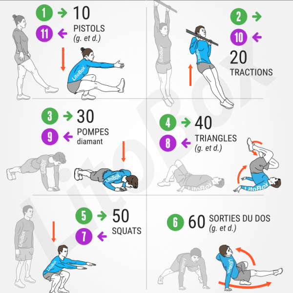 Programmes ciblés sur tout le corps / full body