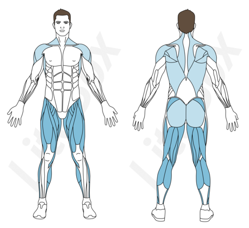 Jumping Jacks 5 tapes Pour Ma triser L exercice Jumping Jacks 5 tapes Pour Ma triser L exercice