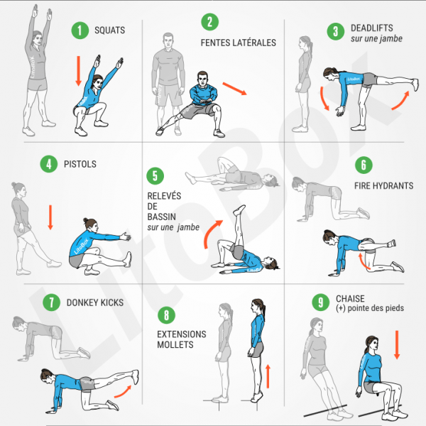 Programmes ciblés sur le bas du corps et sans matériel