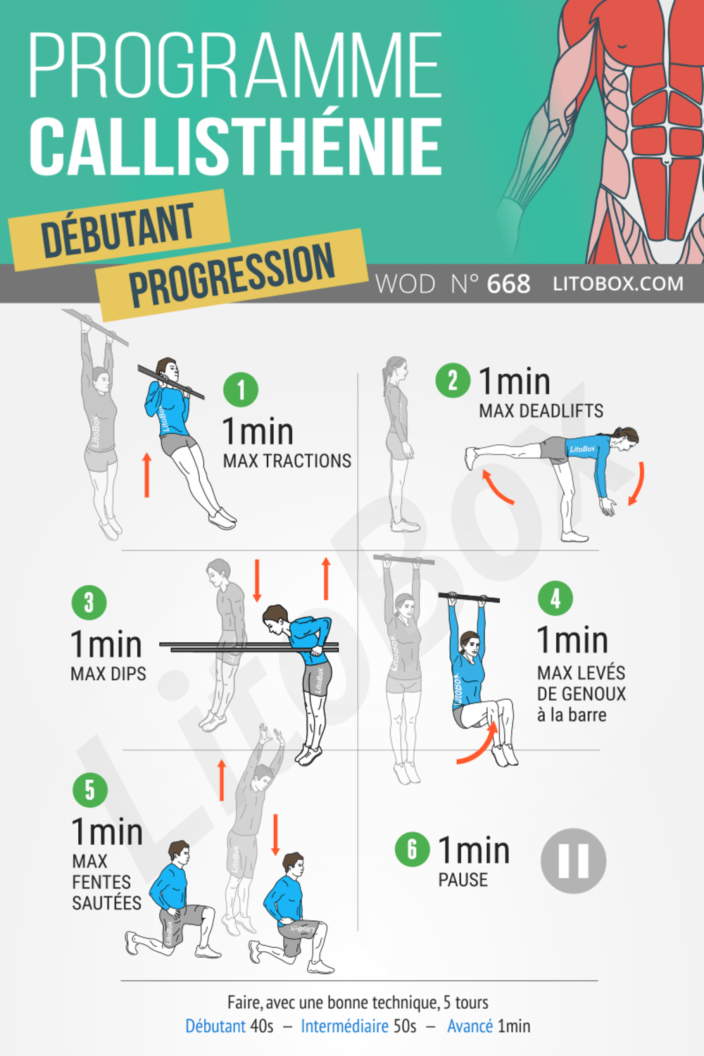 Programme de callisthénie débutant Litobox #668