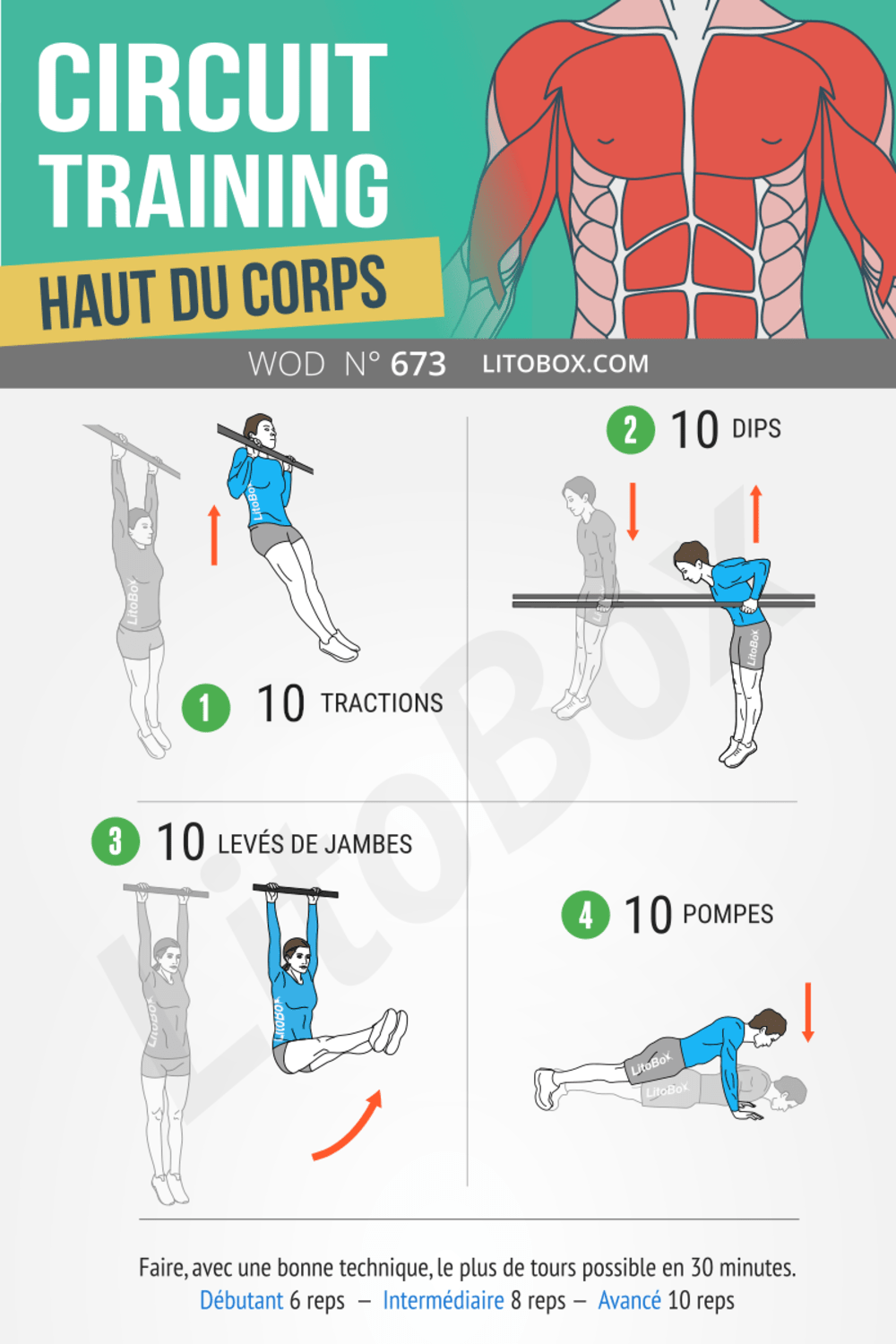 Circuit training haut du corps (callisthénie) #673