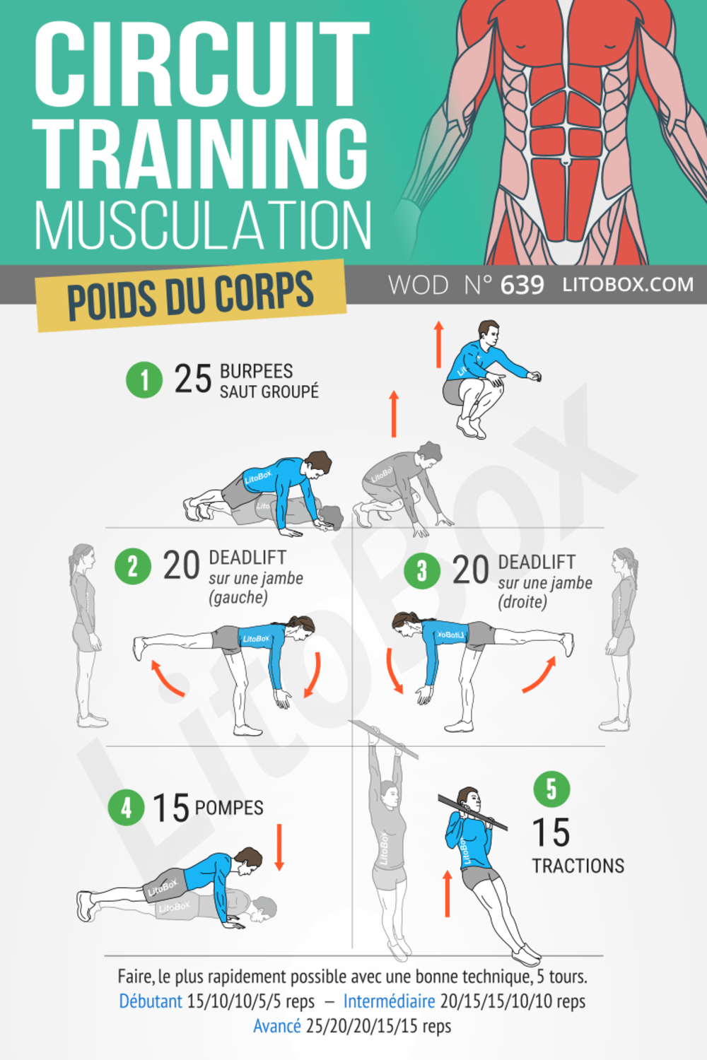 Musculation Circuit Training Avec 11 Exercices Au Poids Du Corps 623 ... Musculation Circuit Training Avec 11 Exercices Au Poids Du Corps 623 ...