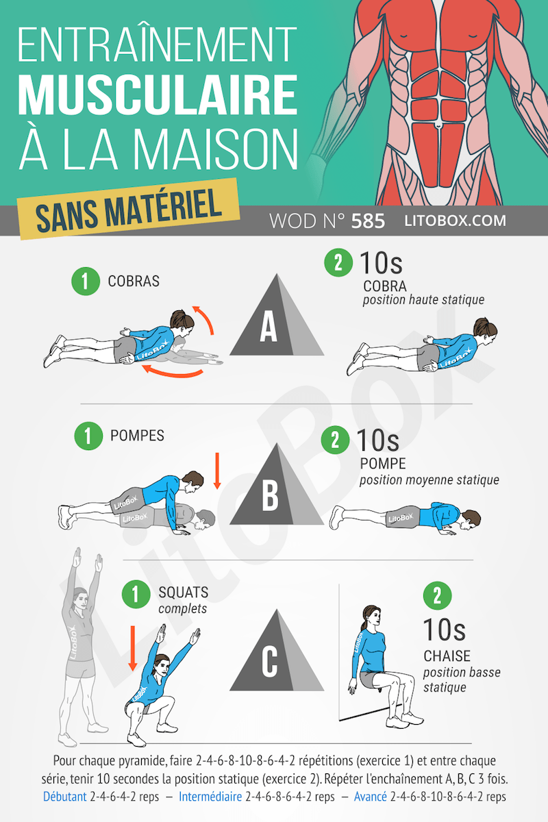 Entraînement de musculation à la maison #585