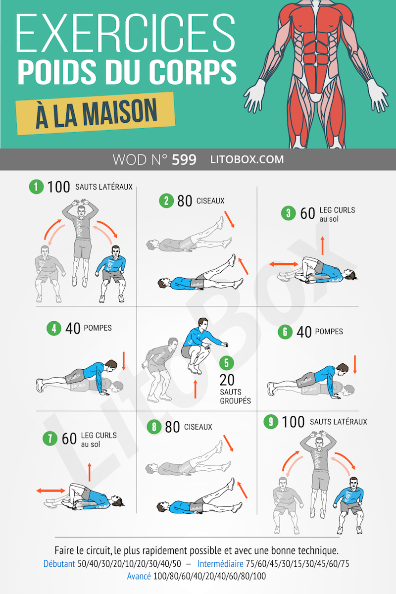 Programme de musculation qu'on peut faire à la maison