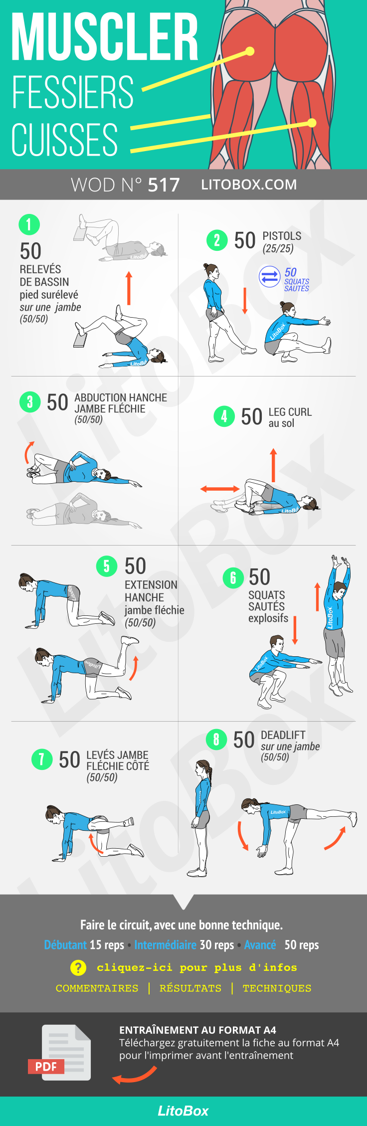 Muscler les cuisses et les fessiers (exercices) #517