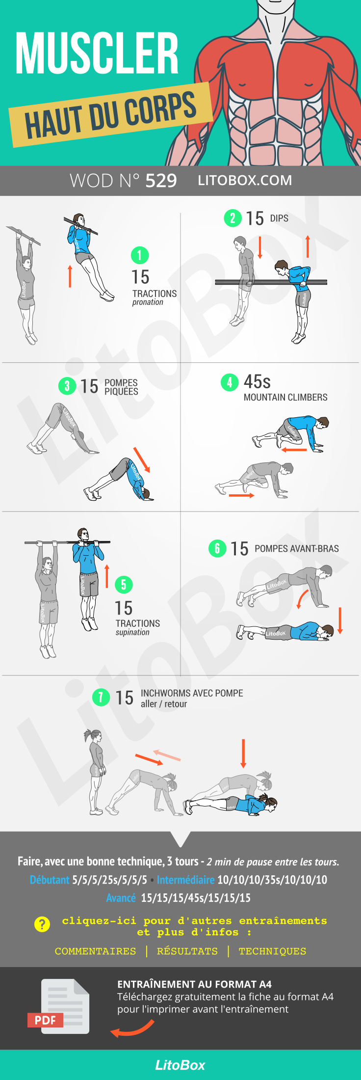 Muscler le haut du corps avec des exercices de calisthénics #529