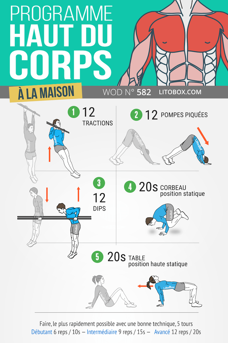 Programme haut du corps (musculation poids de corps #582)