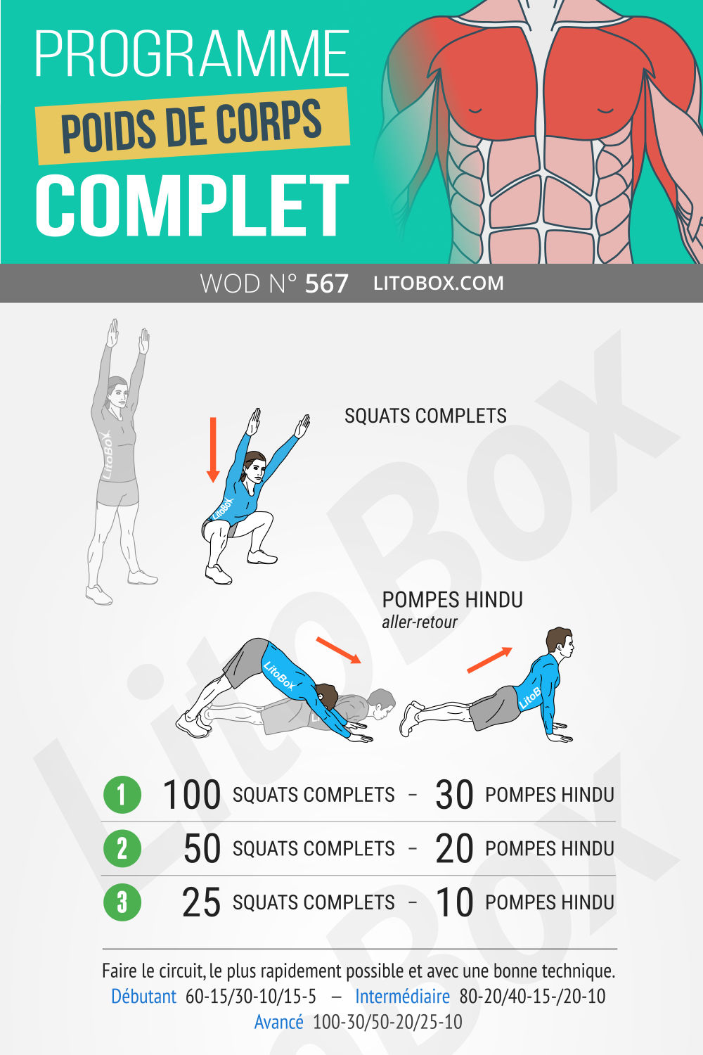 Programme poids de corps musculation sans matériel #567