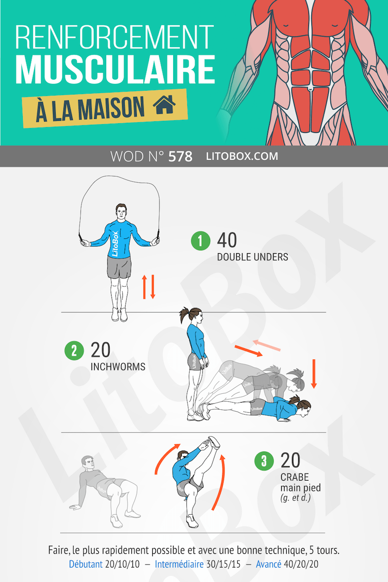 Séance de renforcement musculaire complète à la maison #578
