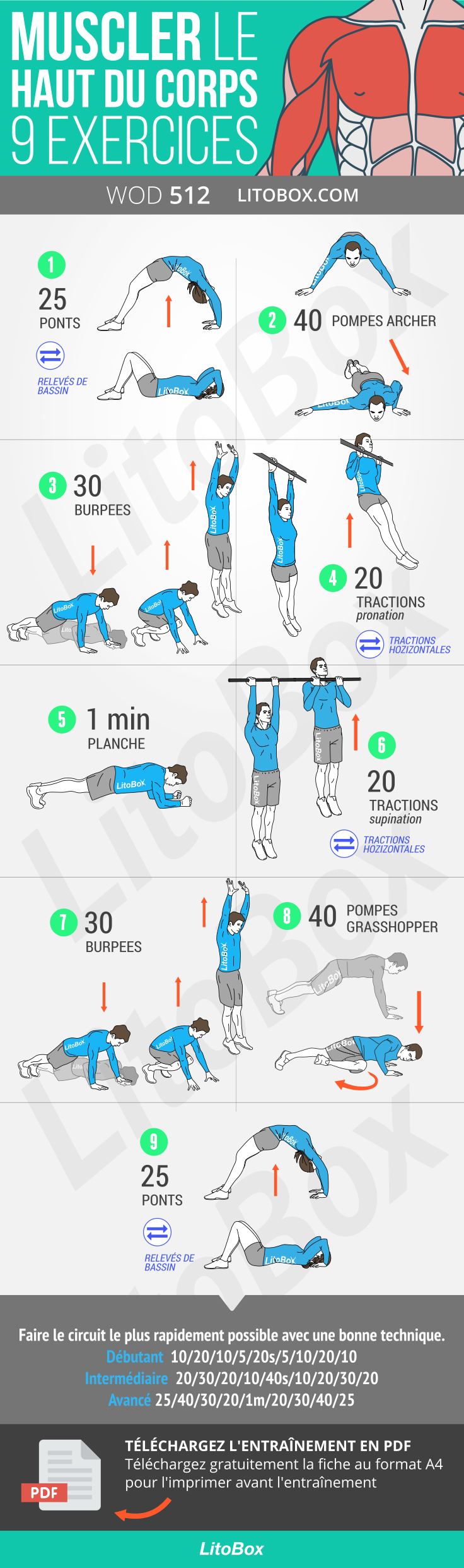 Circuit de 9 exercices pour muscler le haut du corps #512